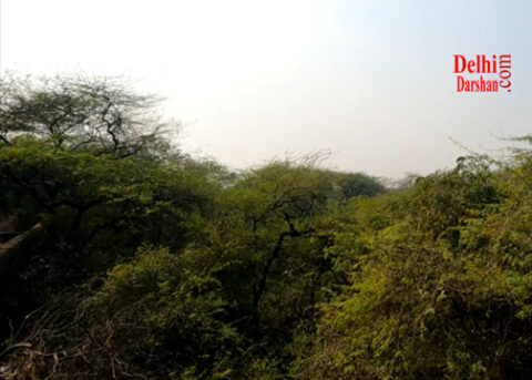 Delhi Ridge Darshan Agra Sightseeing Bus Car Cab Tour Hire