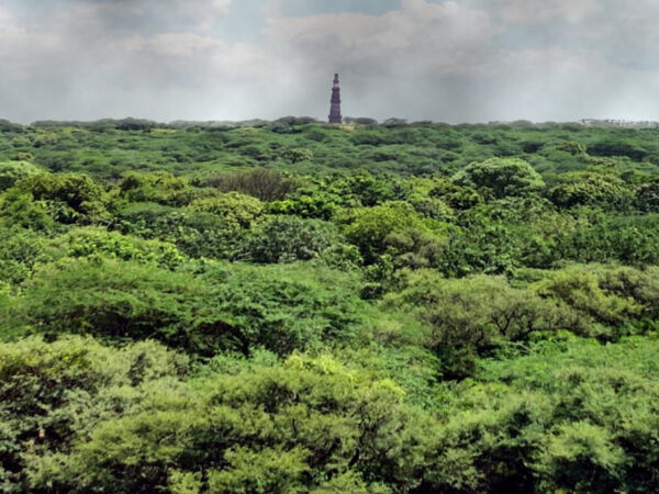 Sanjay Van Delhi Darshan Agra Sightseeing Bus Car Cab Tour Hire